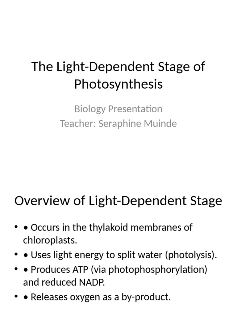 Light Dependent Photosynthesis Seraphine Muinde | PDF