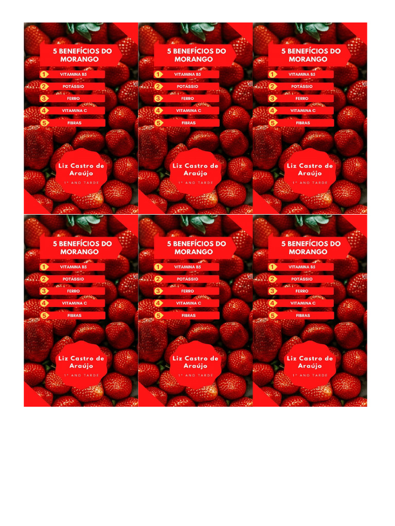 Morango Liz | PDF