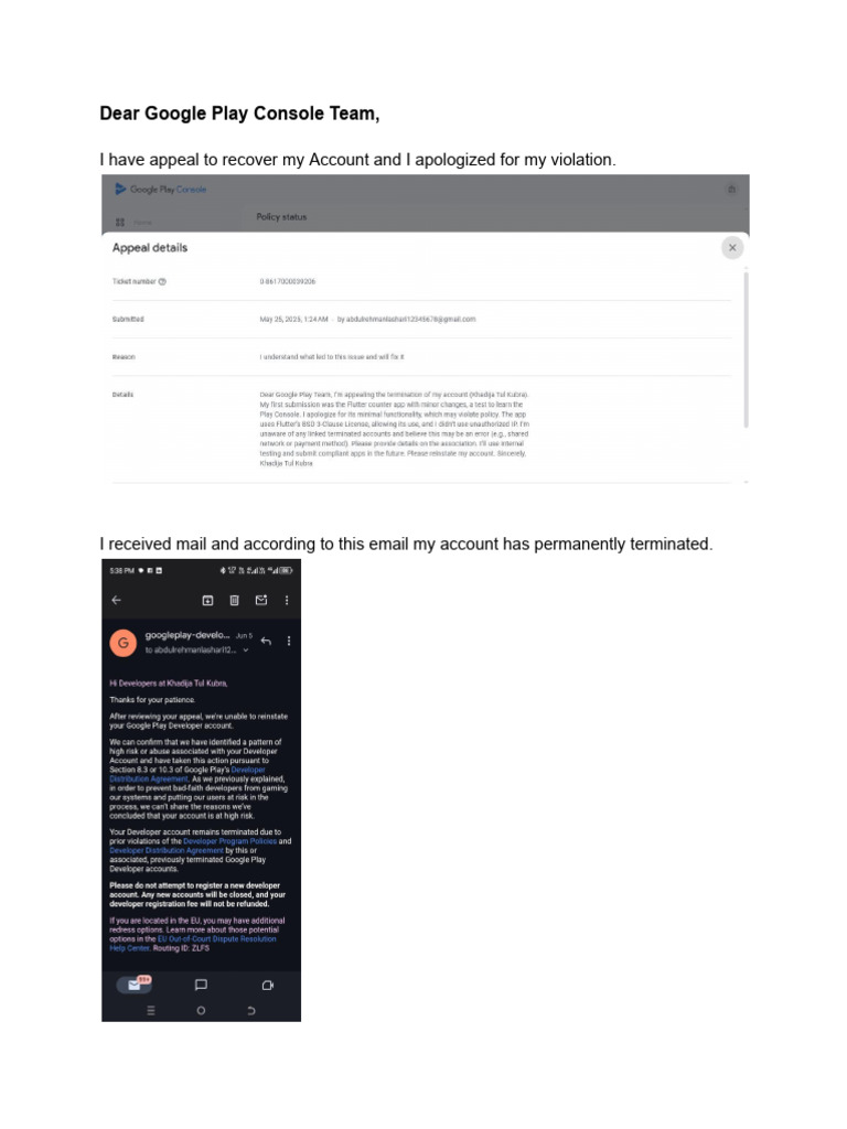 Appeal for Google Play Account Reinstatement | PDF