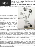 The Diagrams Below Show The Life Cycle of The Silkworm and The Stages ...