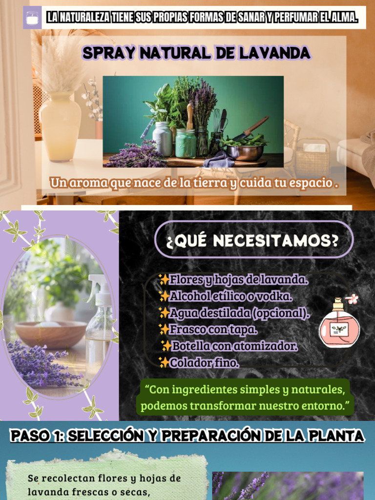 Presentación Spray Natural de Lavanda | PDF | Perfume