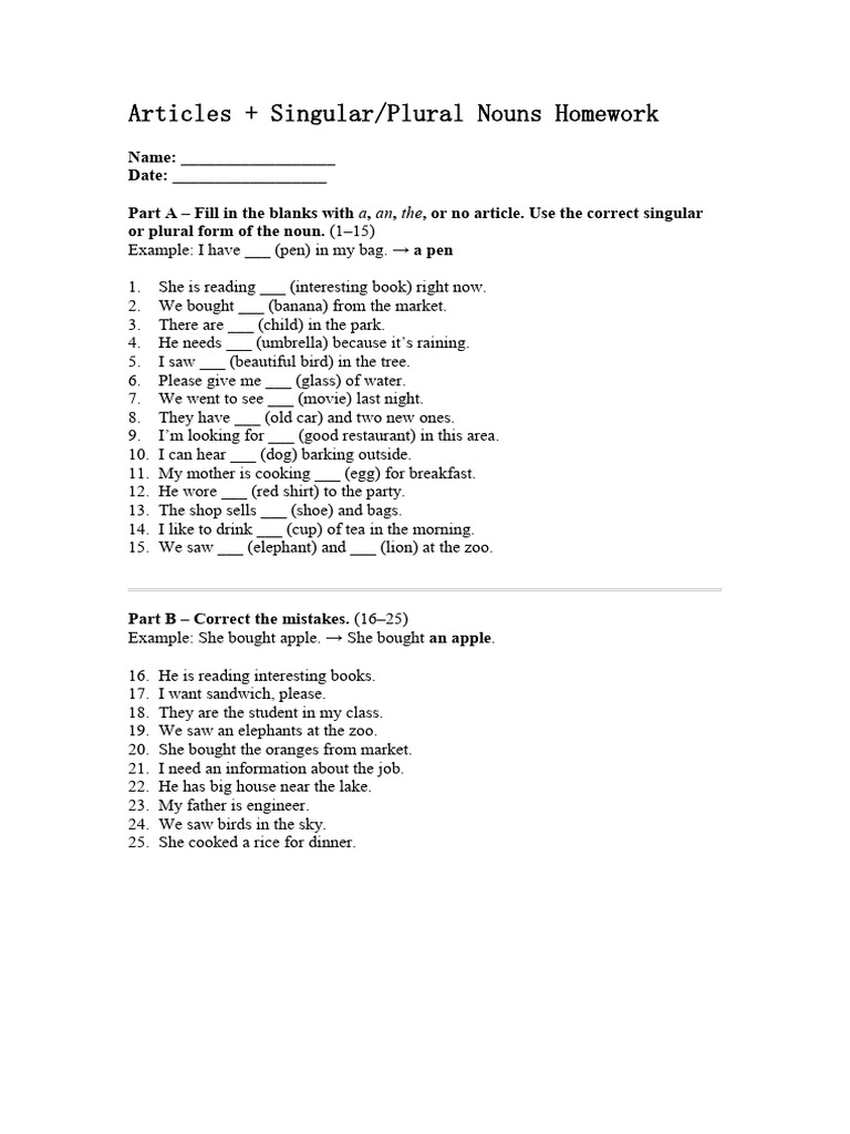 Singular and Plural Nouns Homework | PDF
