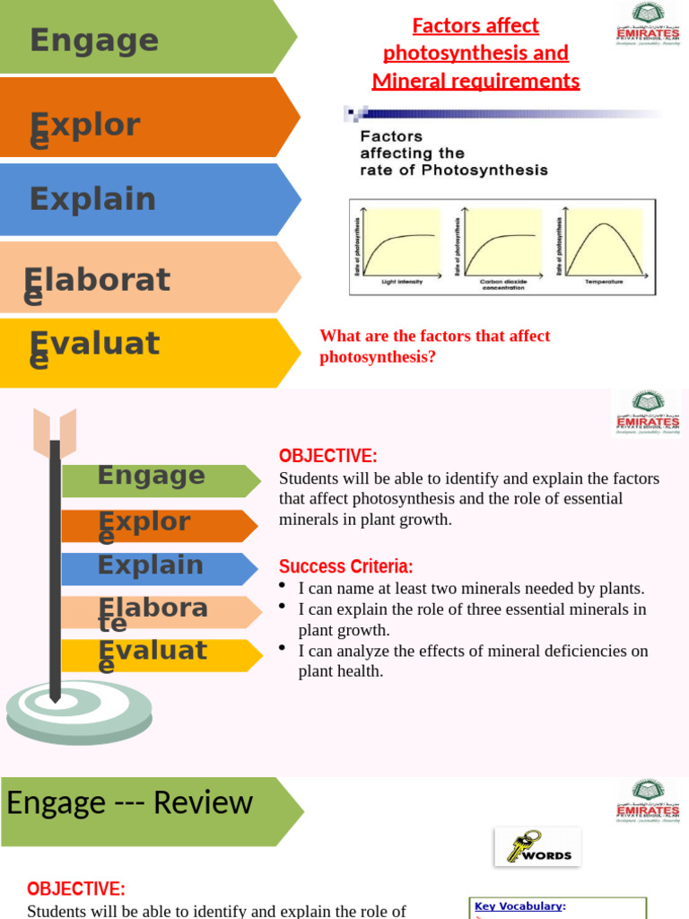 Factors Affect Photosynthesis and Mineral Requirements | PDF ...