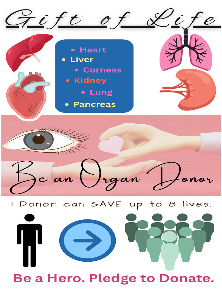 Gift of Life Organ Donation | PDF