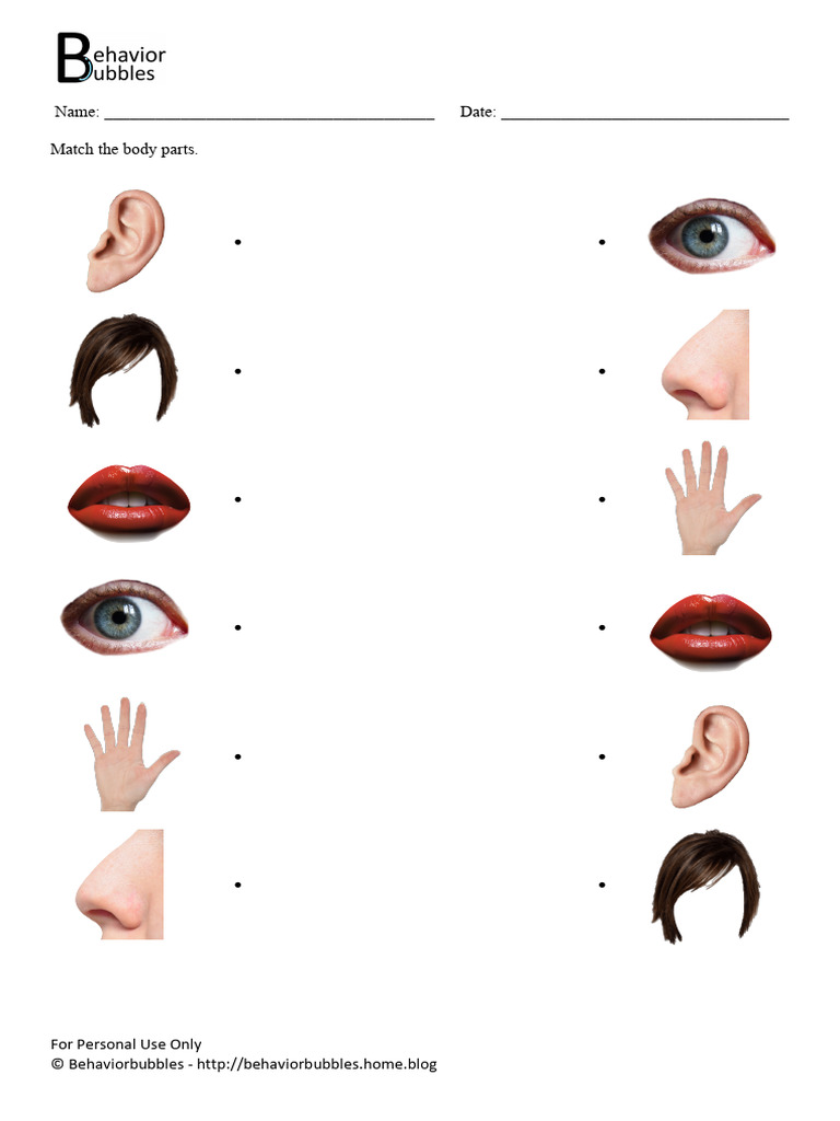 Body Part Worksheets | PDF