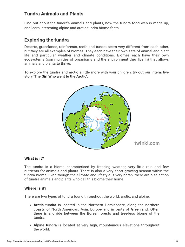 Tundra Animals and Plants & Tundra Food Web - Twinkl | PDF | Arctic ...