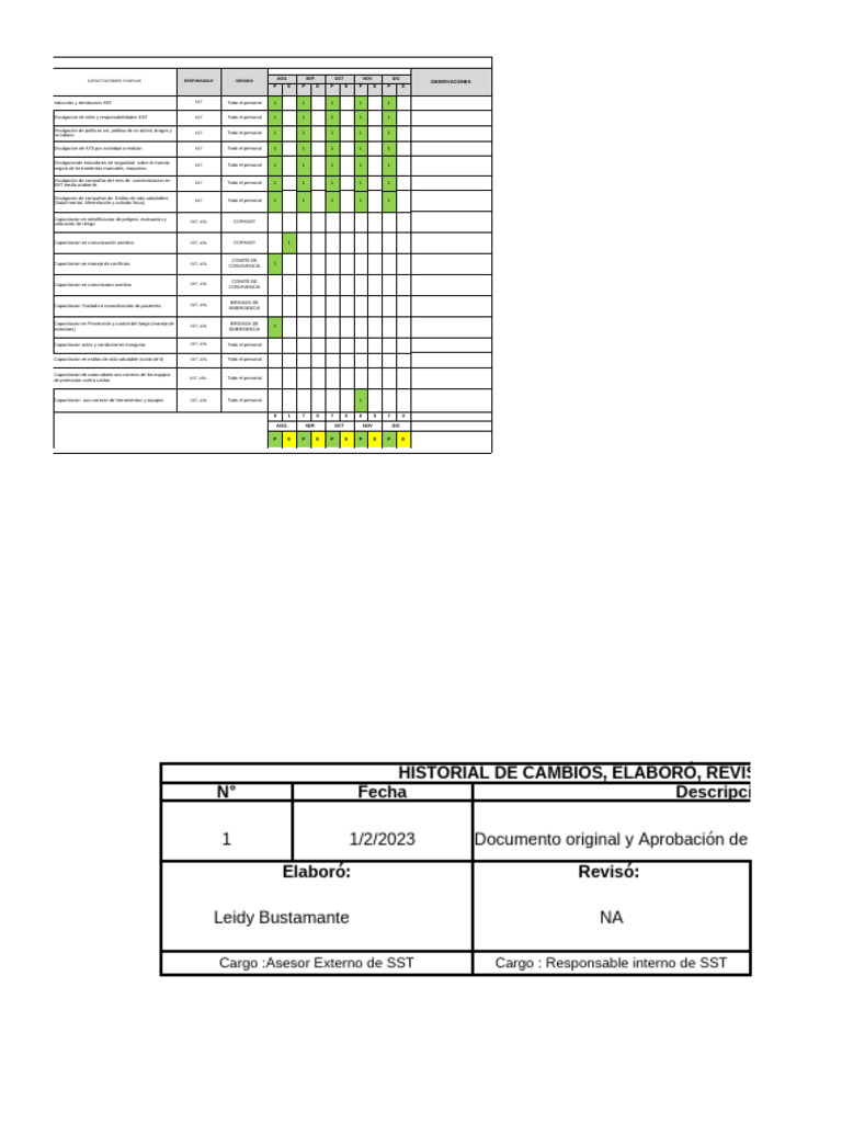MTZ-SST-005 Matriz de Capacitación 2025 | PDF