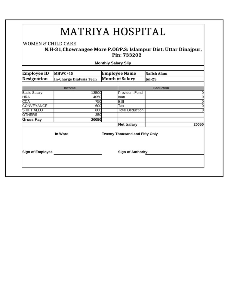 Pay Slip Format | PDF