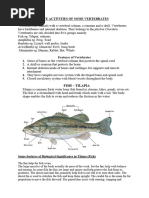 Fish Nares: Smell Mechanism Explained | PDF | Olfaction | Fish