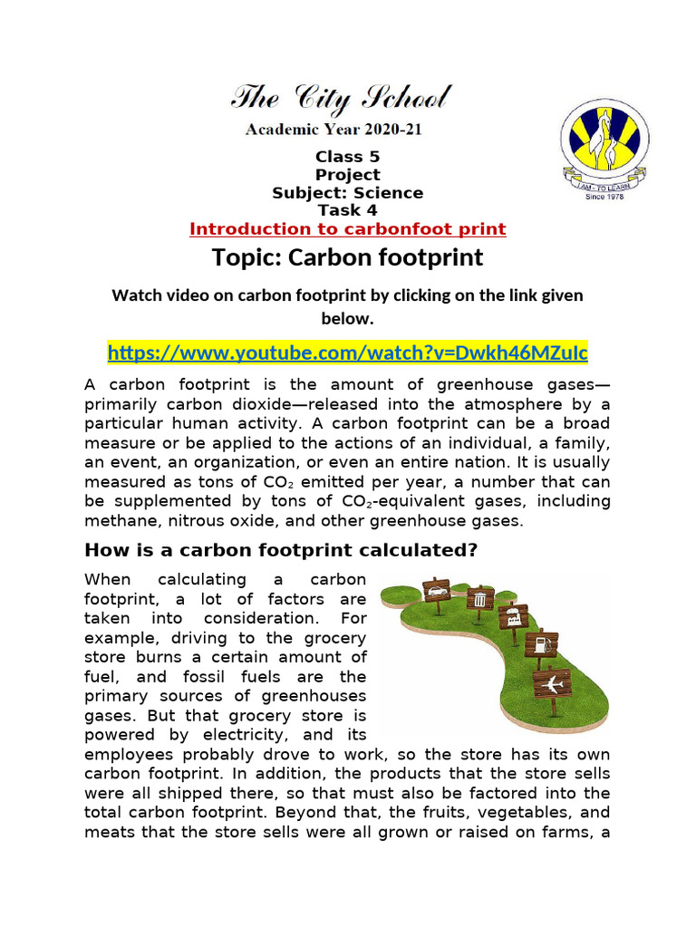 Carbon Footprint Grade 5 Science | PDF | Carbon Footprint | Carbon Dioxide
