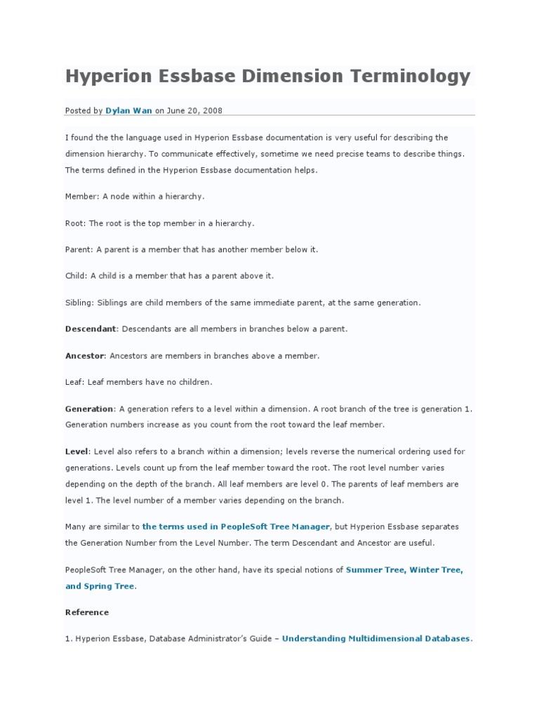 Hyperion Essbase Dimension Terms Guide | PDF