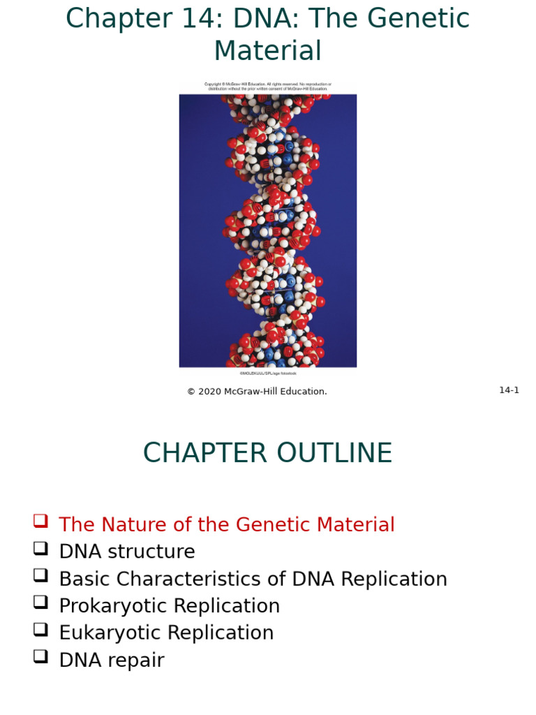 Ch14 - DNA Genetic Material | PDF | Dna Replication | Dna