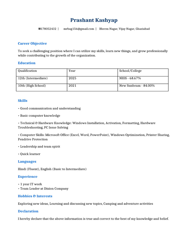 Prashant CV Professional | PDF