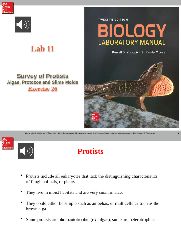 Lab11-Survey of Protists Algae, Protozoa & Slime Molds | PDF ...