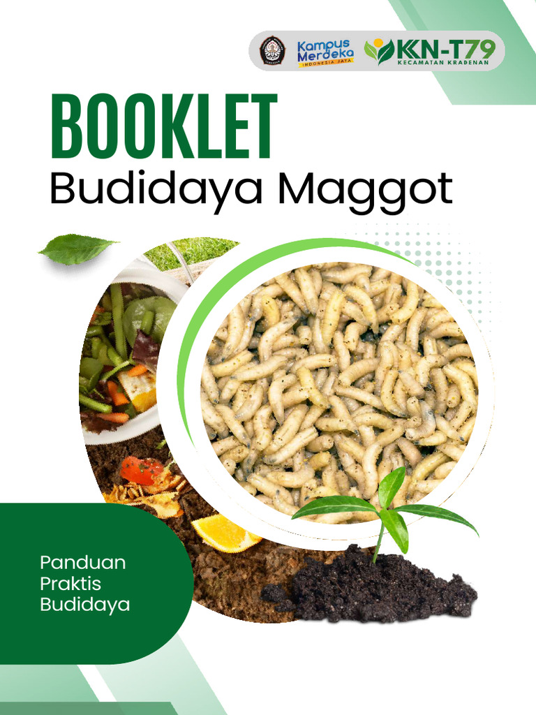 Panduan Budidaya Maggot BSF Praktis | PDF