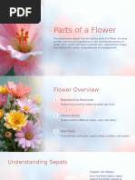 Parts of A Flower and Its Functions | PDF | Flowers | Petal