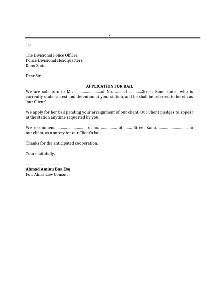 Application For Bail | PDF