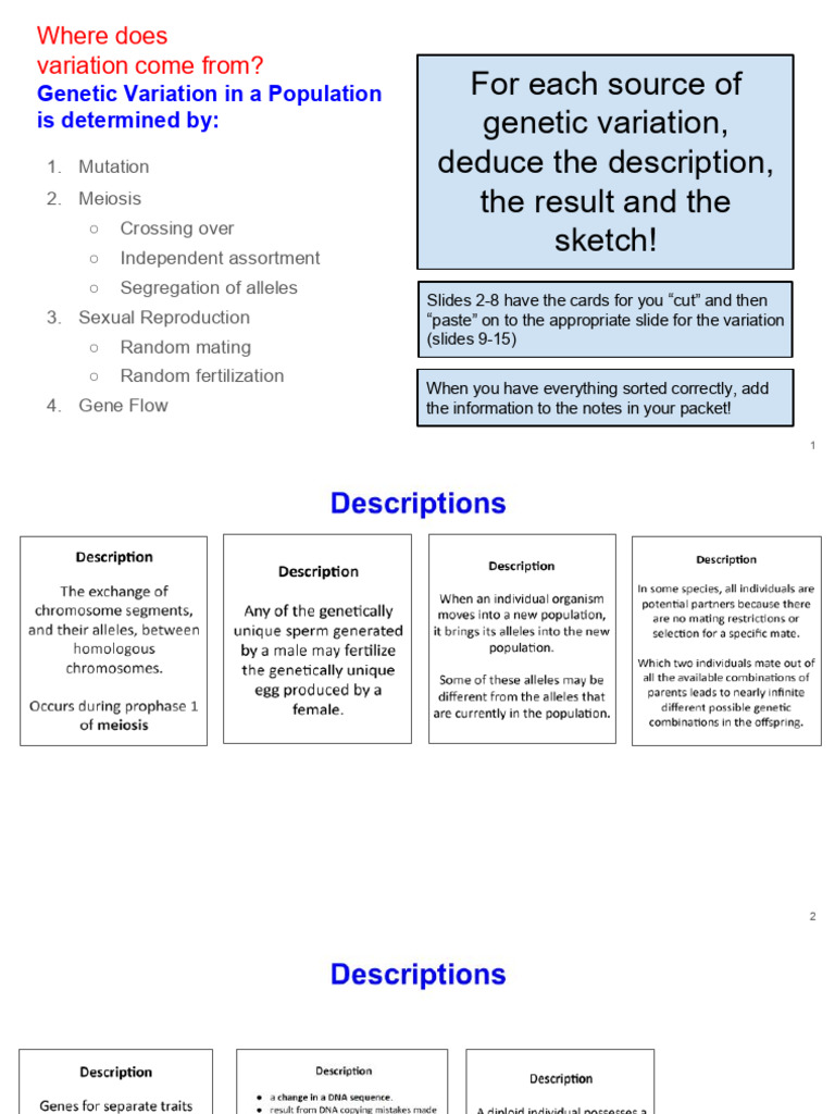 Sources of Genetic Variation (Matching Activity) - Sofia Kafel | PDF