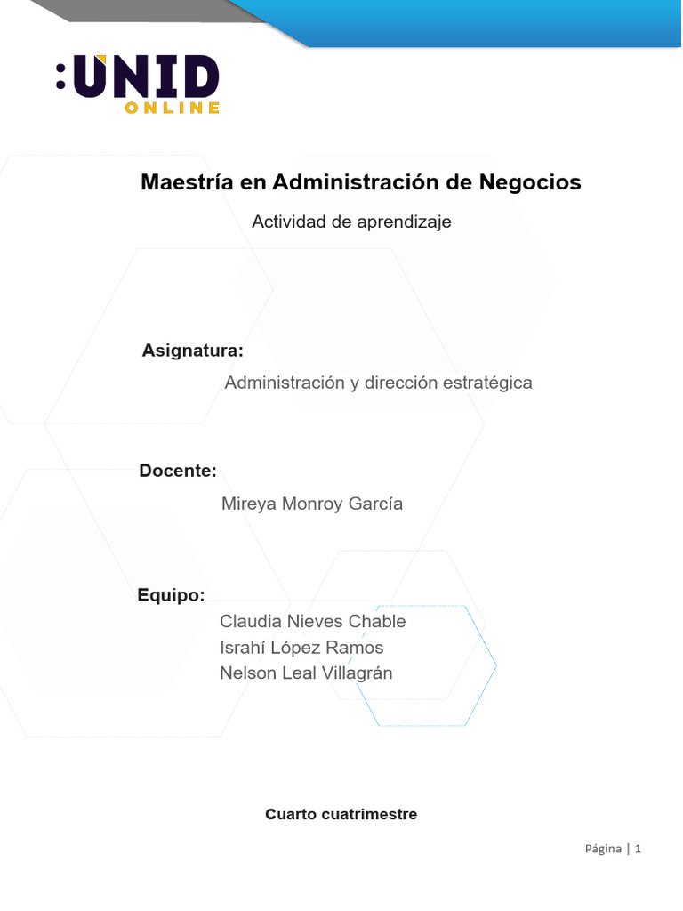 DesarrolloNegocio NLV CHIC@S SUPER ADMINISTRADOR@S | PDF | Análisis ...