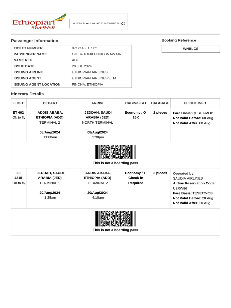 Electronic Ticket Receipt, August 08 For MR TOFIK HUNEGNAW OMER | PDF ...