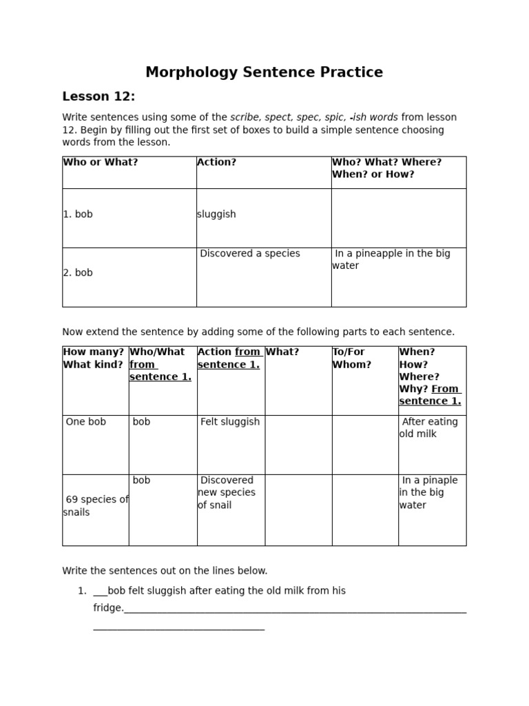 Morphology Sentence Practice Exercise | PDF