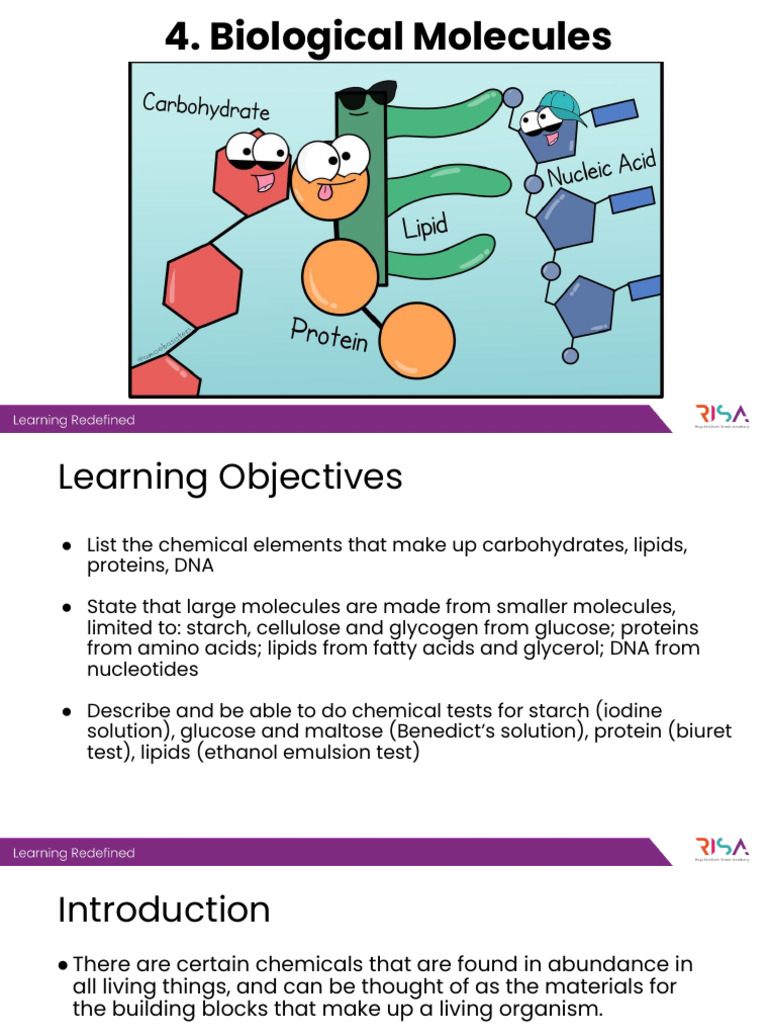 Biological Molecules and Tests Guide | PDF | Carbohydrates | Glucose