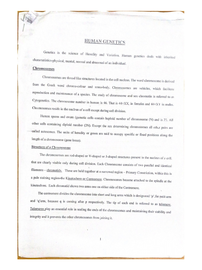 Human Genetics PDF | PDF