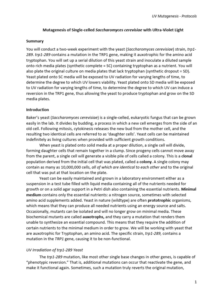 Week+4&5+Protocols+ +Yeast+and+UV | PDF | Growth Medium | Mutation