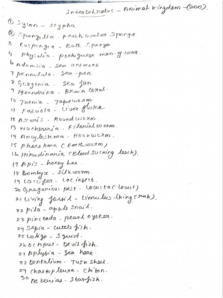 Zoology Animal Kingdom Invertebrates | PDF