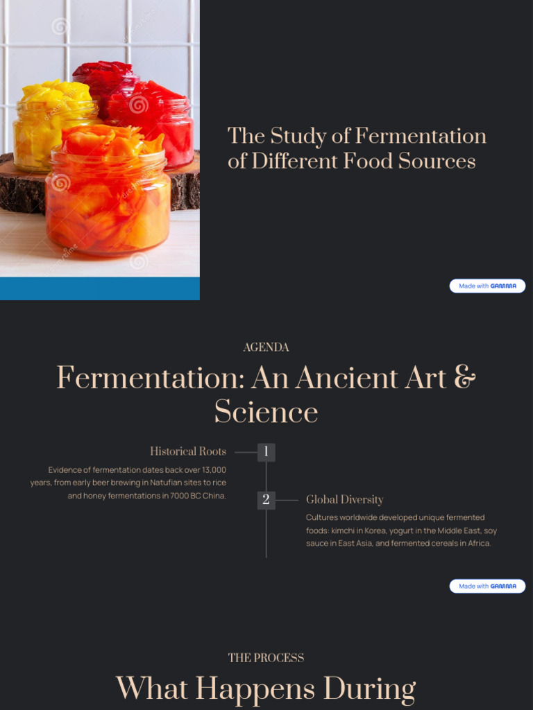 The Study of Fermentation of Different Food Sources | PDF ...