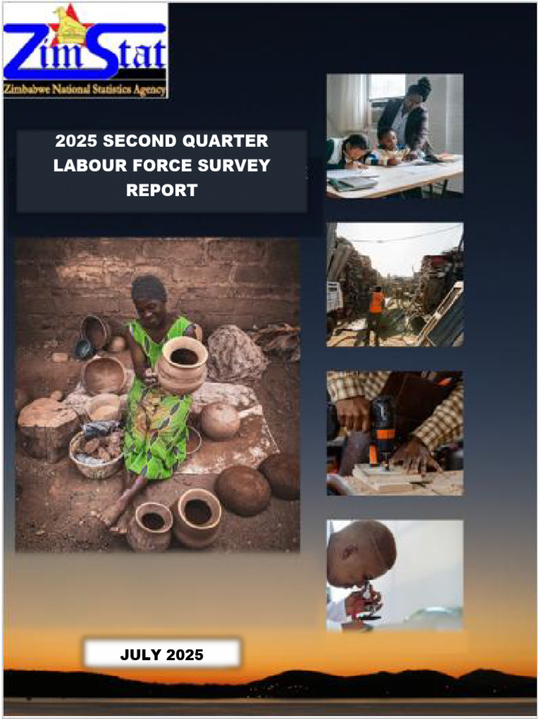 Zimbabwe Q2 2025 Unemployment Report | PDF | Workforce | Employment