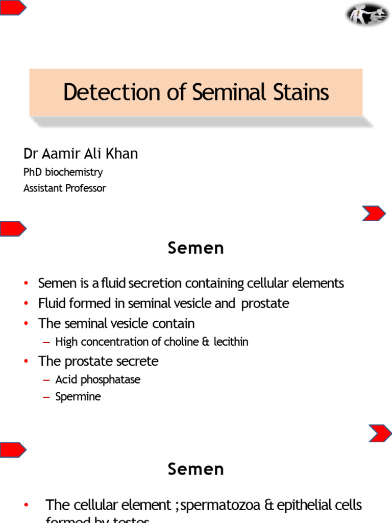 Seminal Stain Detection Methods | PDF | Semen | Staining