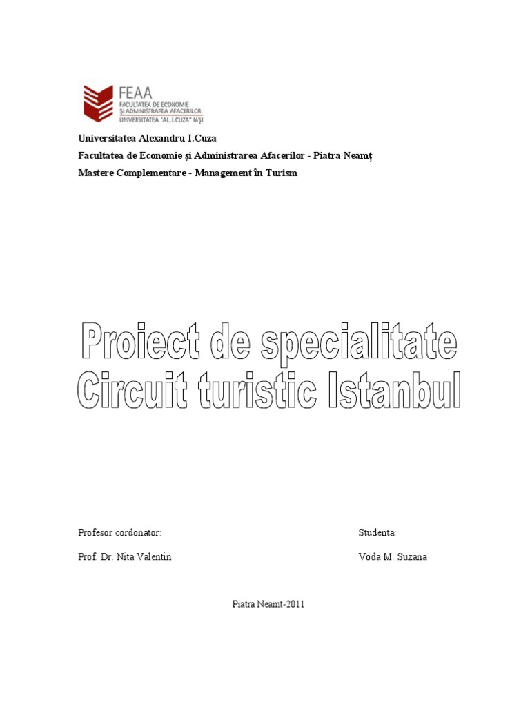 Proiect Istanbul | PDF