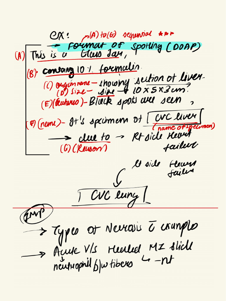 E Patho Specimen Detailed-1 | PDF