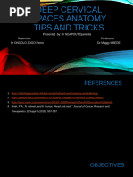 Cervical Lymph Node Mapping Guide | PDF