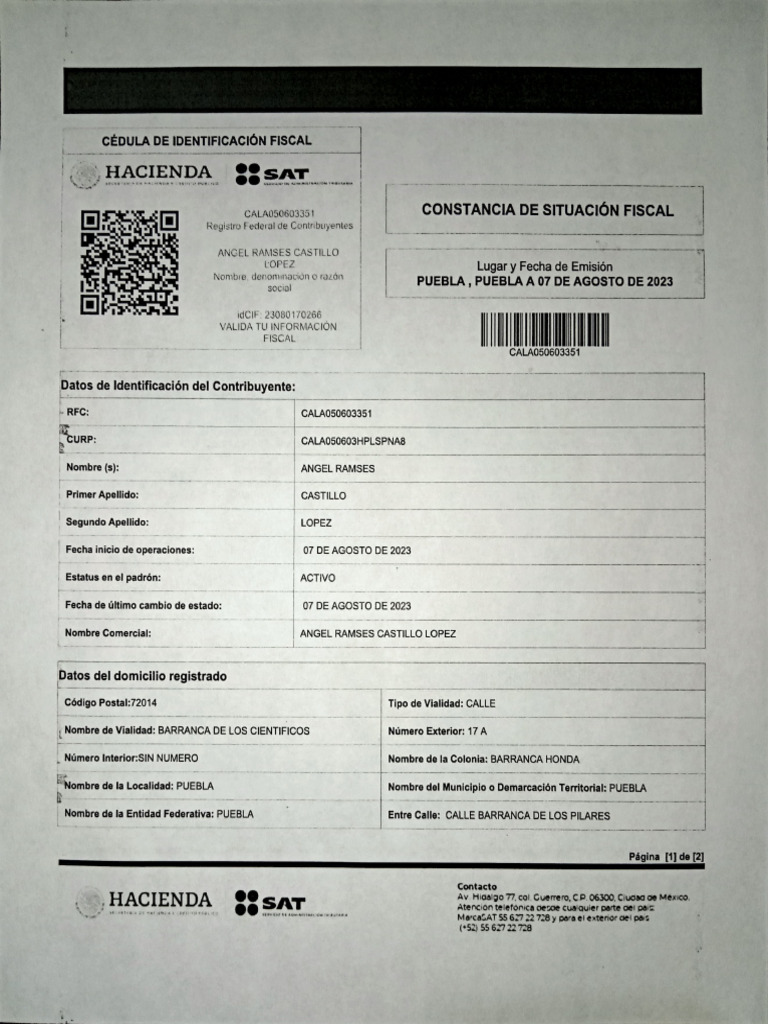 Cédula de Identificación Fiscal SAT | PDF | Impuestos