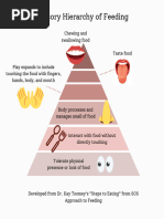 SOS Steps To Eating Info Packet Final | PDF | Foods | Meal