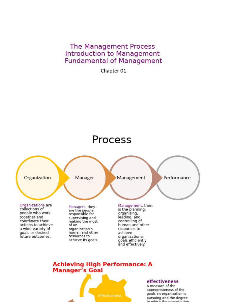 Essentials of Effective Management | PDF | Goal | Skill