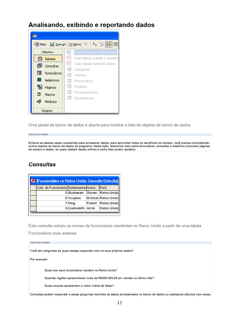 5166 - Apostila Completa de Microsoft Access 2003-15 | PDF