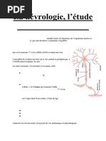 Anatomie de la Moelle Spinale | PDF | Moelle épinière | Nerf