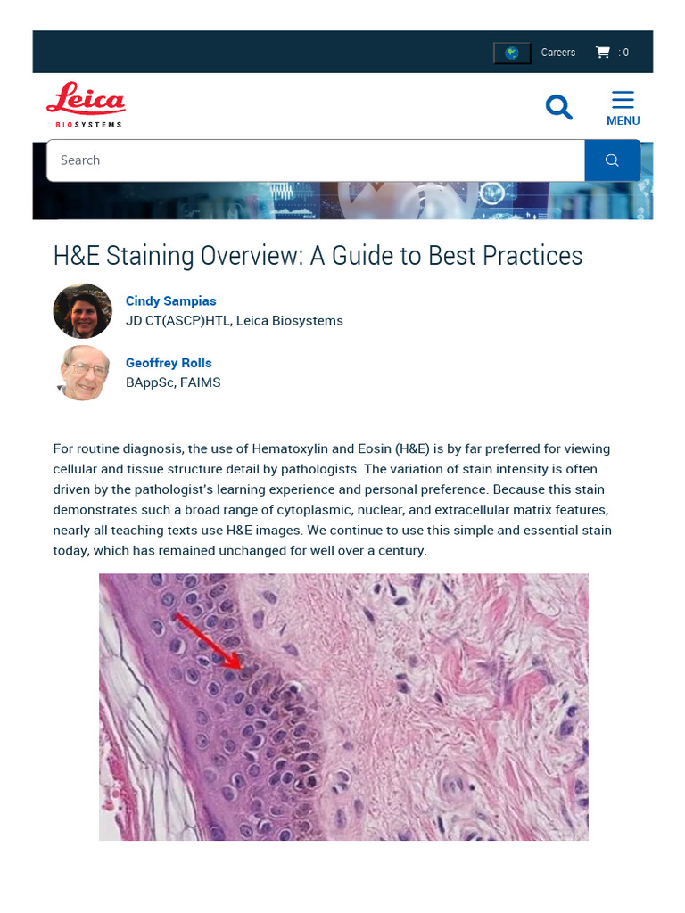 An Intro To H&E Staining - Protocol, Procedure, Steps & More | PDF ...