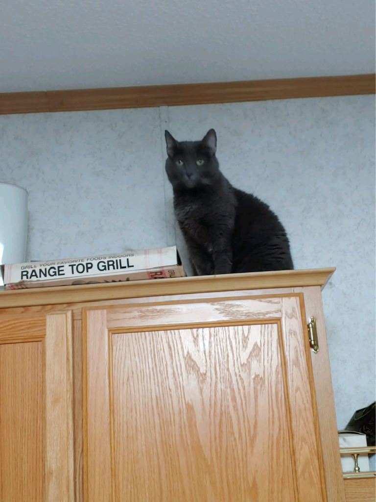 PDF Phoenix 20250826 233947 | PDF