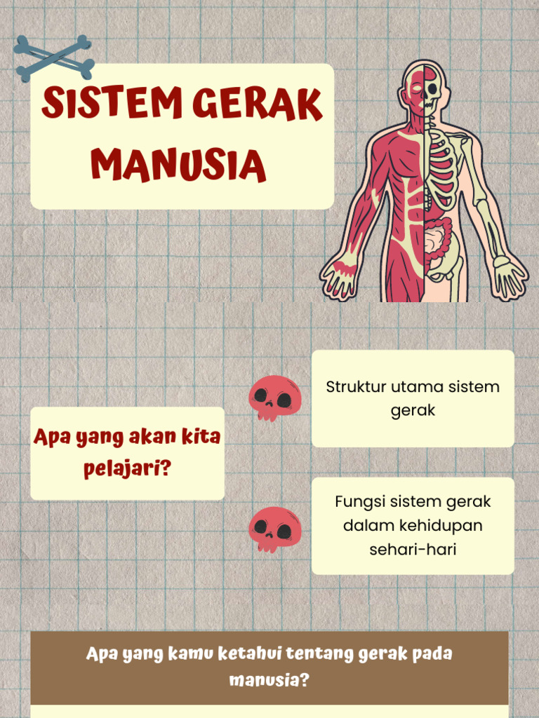 Sistem Gerak Manusia: Struktur dan Fungsi | PDF