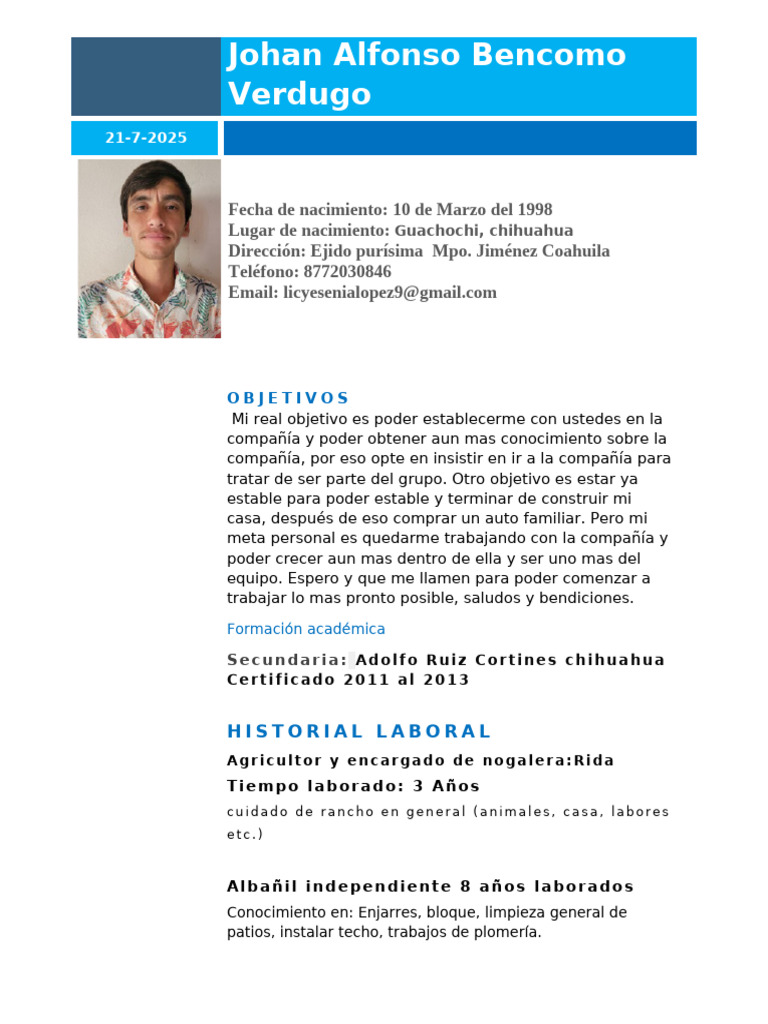 Curriculum Vitae Johan Alfonso Bencomo Verdugo | PDF