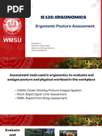 Ergofellow Sofware Ergonomik | PDF