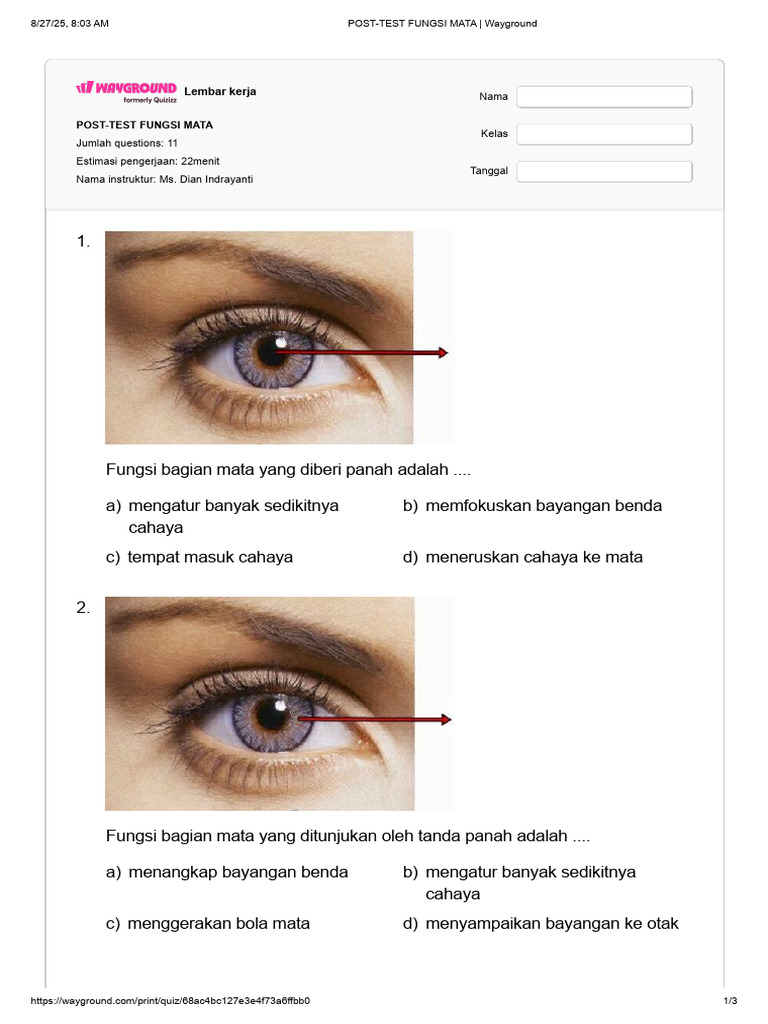 Post-Test Fungsi Bagian Mata | PDF