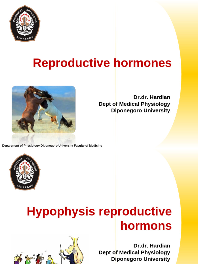 Reproductive Hormones Overview | PDF | Luteinizing Hormone | Menstrual ...