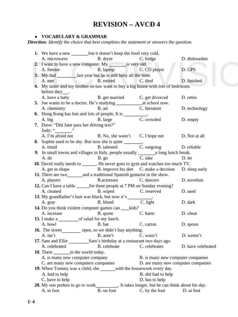 Vocabulary and Grammar Revision | PDF