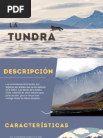 Tundra Alpina en México: Características y Ubicación | PDF | Ecosistema ...