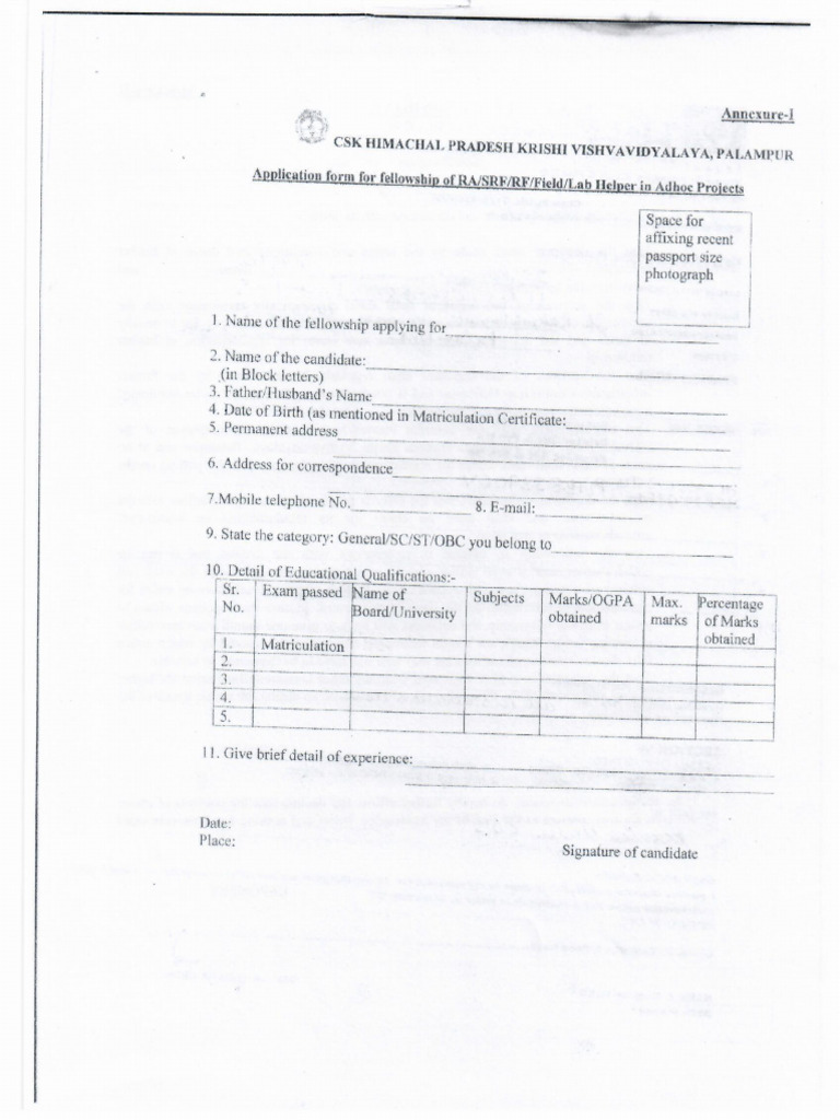 Applicationform Fellowships | PDF